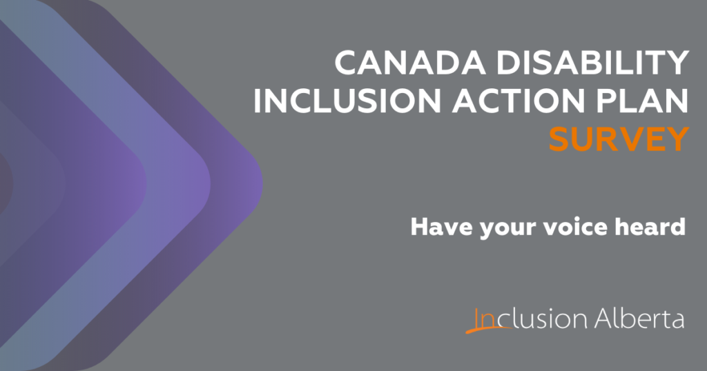 Take Action: Complete the Canada Disability Inclusion Action Plan ...